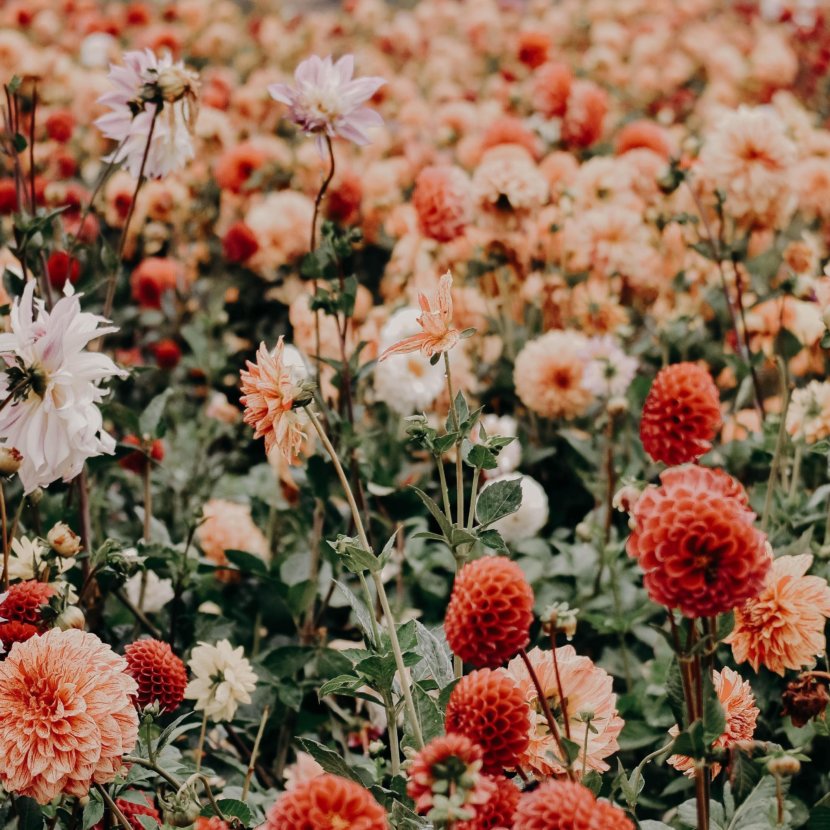 Common-sense Christianity - Foundations with Janet Denison